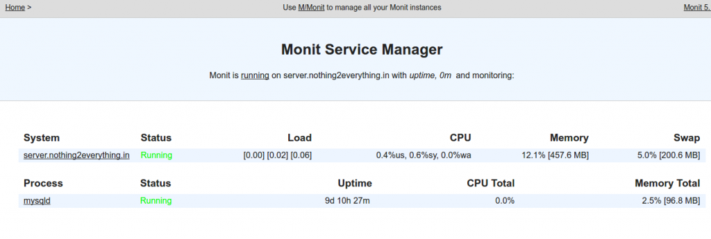 monit-server - NixTree